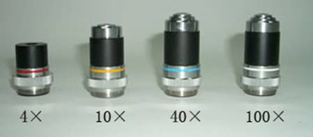 光学显微镜的结构和使用方法_景通仪器