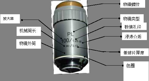 光学显微镜的构造_景通仪器