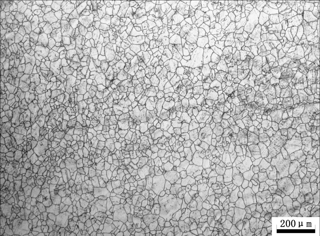 【干货】金相显微镜放大100倍的等轴晶粒怎么测尺寸？_景通仪器